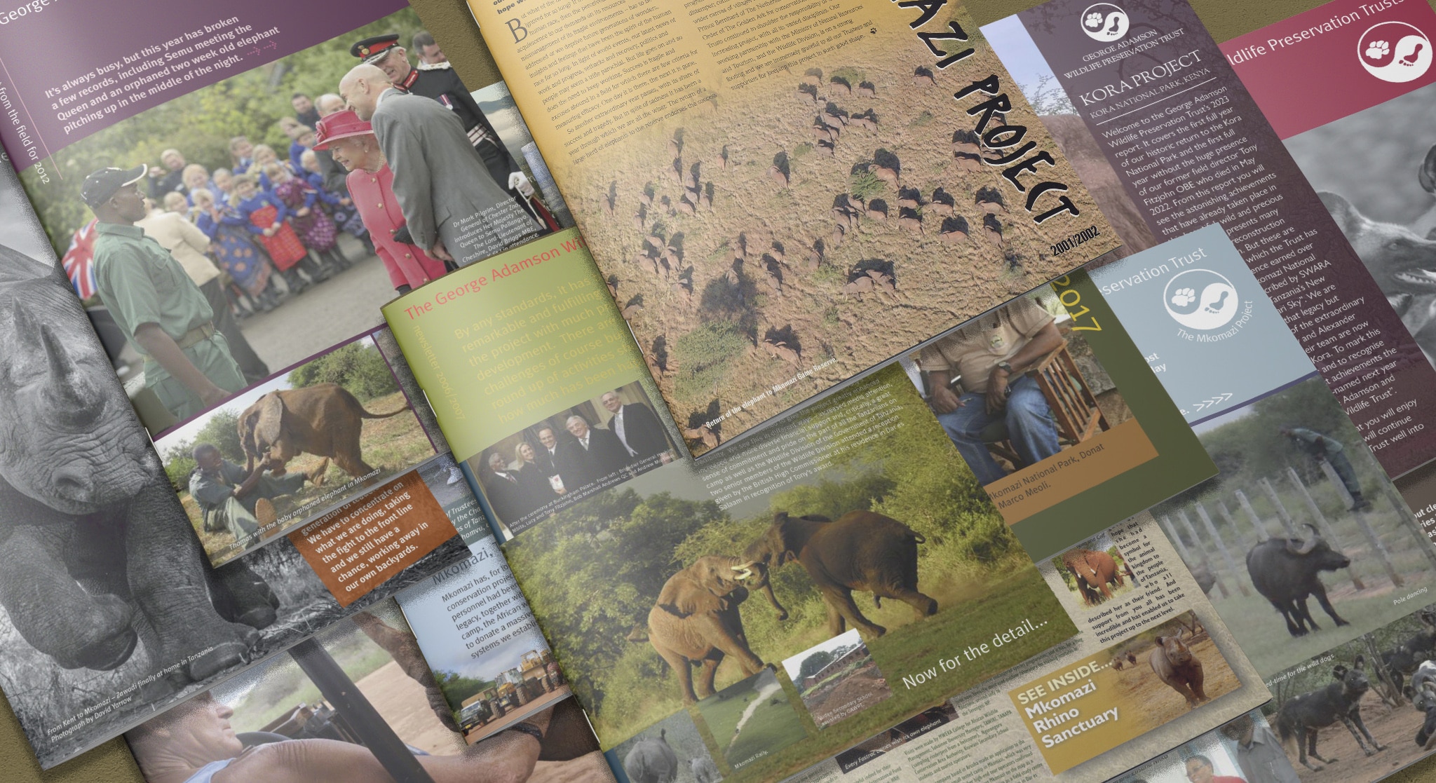 Newsletters - Kora Project